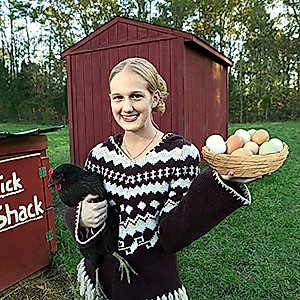 LASZOLA 2Pcs Handmade Woven Bird Breeding Nest Bed with 3.5 oz. Coconut Fiber, Flat Base Straw Bird Nest Hatch House Cage with Natural Coconut Fiber for Dove Pigeon Parrot Rabbits Hamster