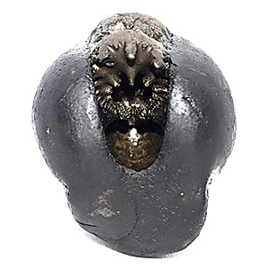 Rudrakshguru Wooden Bhuvaneshwari Shaligram (Black, 2.50 x 2-inch)