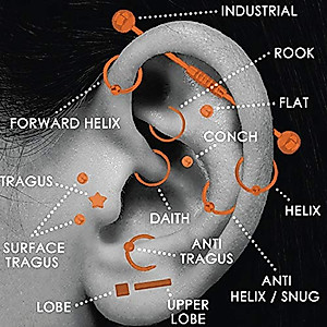 BodyJ4You 36PC PRO Piercing Kit Surgical Steel 14G 16G Belly Ring Tongue Nipple Nose Jewelry