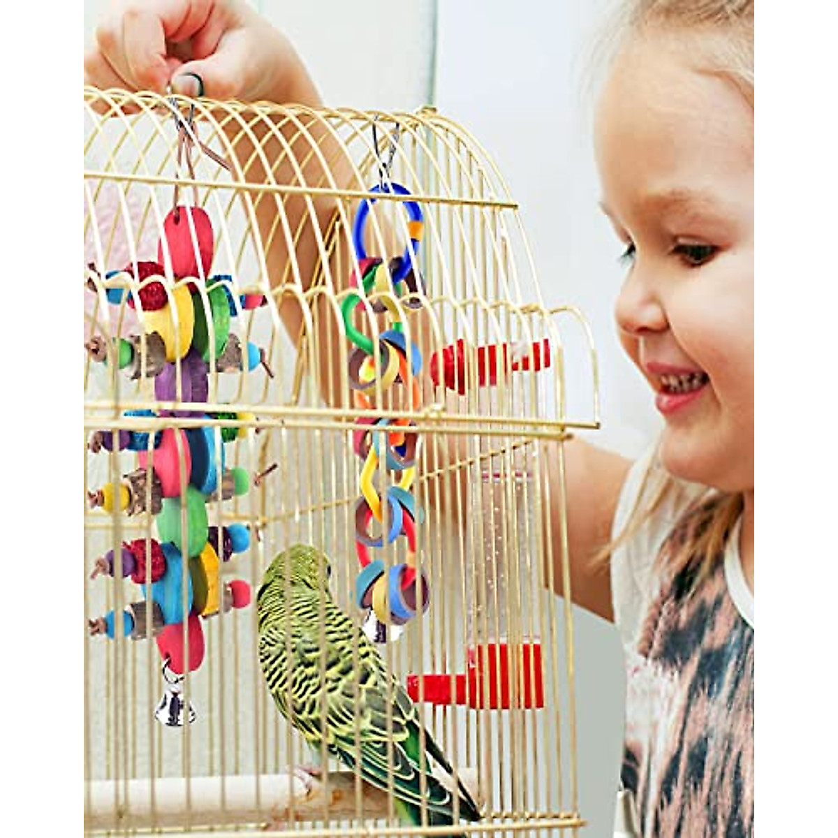 Bissap 2PCS Bird Chew Toys, Multicolored Bagel Cascade Bird Parrot Toy Biting Paper Cardboard Olympic Rings Conures Toys for Amazon Cockatiels Cockatoos Macaws and Similar Sized Pet Birds