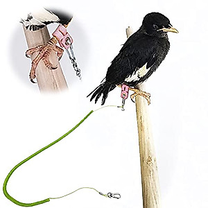 Parrot Bird Harness Leash Anti-bite Outdoor Flying Training Rope with 5pcs Different Sizes of Soft Foot Loops and Training Whistle(Upgraded Version of Ankle Ring)