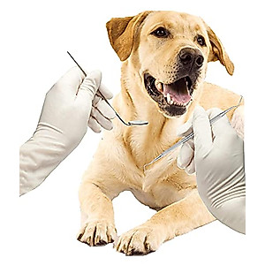 Dental Tools by HOKIN Plaque Remover for Teeth Cleaning Tool Dental Care Kit Tooth Filling Repair Set Stainless Steel Dental Picks for Men Women Kids and Pet Care (1 Pc Dental Pick)