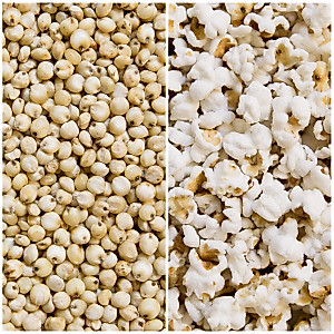 Nature Nate’s Popped Sorghum, Avocado Oil Sea Salt - Organic, Keto & Gluten Free, Whole 30, Healthy Snacks, Better Than Popcorn, Made in USA - 5 Ounce