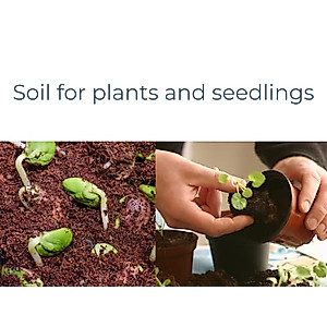 Southside Plants Coco Peat Coconut Substrate for Garden Potting Soil - 100% Organic & Eco-Friendly 1.4 lb Brick for Indoor & Outdoor Flowers & Plants Growth – 650 Grams