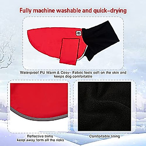 Dachshund Raincoat, Dachshund Clothes for Dog, Dachshund Coat, Dachshund Winter Coat, Dachshund Raincoat Waterproof, Coat Miniature Dachshund, Miniature Dachshund Raincoat for Small Dog (S, Red)