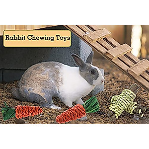 CooShou 13Pcs Rabbit Chew Toys for Small Animals - Bunny Natural Hay Activity Balls Rabbit Apple Sticks Sweet Bamboo Timothy Hay Sticks Grass Carrots for Hamster Guinea Pig Dental Health