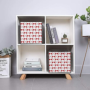 Canada Red Maple Leaf Collapsible Storage Bins Basics Folding Fabric Storage Cubes Organizer Boxes with Handles