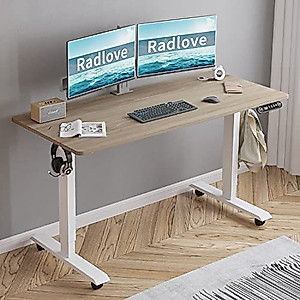 Radlove Electric Standing Desk, Height Adjustable Computer Desk Sit Stand Desk Home Office Desks with Splice Board and A Under Desk Cable Management Tray (Light Oak, 48 x 24'')