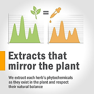 Herb Pharm Certified Organic Goldenseal Liquid Extract for Respiratory System Support, Organic Cane Alcohol, 1 Ounce