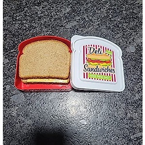 Set of 3 Food Storage Sandwich Containers, 2 cups / 16 oz / 490 ml - 3 Different Designs. Great for Meal Prep. Kids or Adult Lunch Box - BPA Free and Reusable