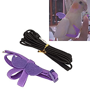 Bird Harness Leash Purple Bird Harness and Leash Pet Outdoor Flying Rope Bird Flying Harness Traction Rope for Parrots Pigeons Birds Purple