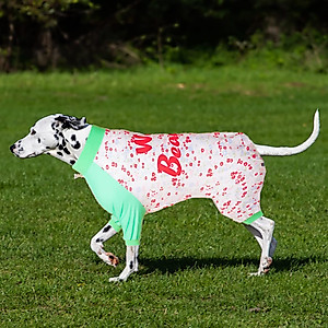 LovinPet Dog Pjs Large, UV & Post Operative Protection, 4 Legged High Collar Dog Onesies, Lightweight Stretchable Floral Print White, Red Prints Large Dog Pajamas as Base Shirt for Dog Dresses XL