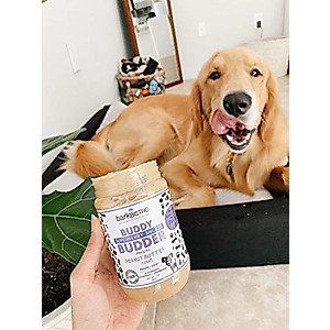 Bark Bistro Company, Superberry Snoot, 100% Natural Dog Peanut Butter, Healthy Peanut Butter Dog Treats, Stuff in Toy, Dog Pill Pocket, Made in USA (17oz jar)