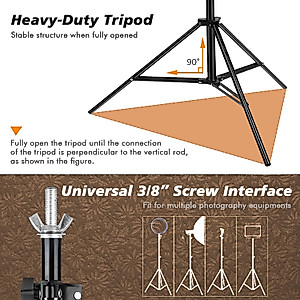 Backdrop Stand, Photo Video Studio 6.5 x10ft Adjustable Support Portable Backdrop Stand Heavy Duty for Photoshoot, Parties, Projector Screen with 2 Water Bag, 6 Backdrop Clips,6 Curtain Ring Clip