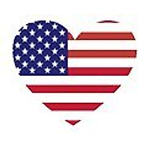 Natural Cravings Steer Stix Bully Sticks Dog Chews | 20-22 Sticks, 12 oz. Bag | Product of USA - Odor Free