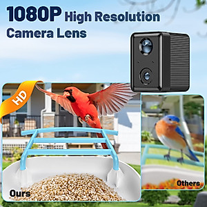 AUXCO Bird Feeder with Camera, 2023 Newest Dual Solar Panels Charging Smart Bird Feeder Camera, AI Identify 11000+ Bird Species, Auto Capture Bird Videos & APP Notify Video Bird Camera for Bird Lovers