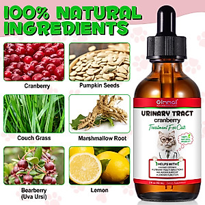 REBODUM Feline Urinary Tract Health, Cat UTI Remedy, Natural Herbal Supplement 2 fl oz, Supporting Regular Care for Urinary Health, RED