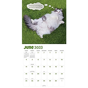 Chonkers Wall Calendar 2023: Irresistible Photos of Snozzy, Chonky Floofers Paired with Relaxation-Themed Quotes