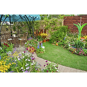 10000+ Perennial Mix Wildflower Seeds 16 Assorted Varieties of Heirloom Flower -1oz Zinnia Poppy Crimson Clover Milkweed Lupine Marigold Mexican Hat Sage Nasturtium