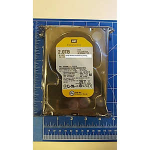 Western Digital HDD WD2000FYYZ Enterprise 2TB SATA 6Gb/s 7200rpm 64MB Cache Bare Drive Drive (WD2000FYYZ) (Renewed)