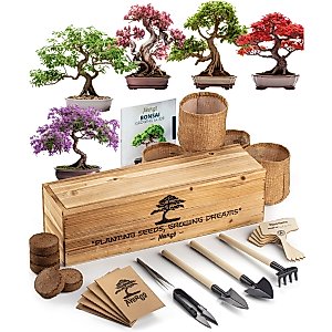 AVERGO Bonsai Tree Kit – 5X Unique Japanese Bonzai Trees | Complete Indoor Bonsai Starter Kit for Growing Bonsai Plants with Tools & Planters – Gardening Gifts for Women & Men