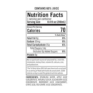 IZZE Blackberry Juice, No Sugar Added, 8.4 oz., 24/Carton