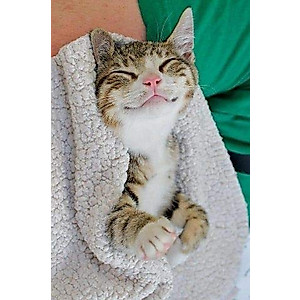 cat Healthy Skin - CAT Ultra Vitamins - Essential Minerals and NUTRIENTS - Immune Support - Hair and Coat Health - cat Vitamin b12 - 3 Bottles (270 Chewable Tablets)