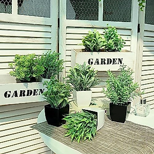 Fake Plants Mini Potted Artificial Plants, set of 8 Pack fake Plastic Eucalyptus Houseplants Greenery in Pot, Small Faux Plants Decor for Bathroom Home Office Farmhouse Desk Shelf(white,black)