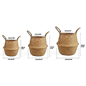 BlueMake 2Pack Woven Seagrass Belly Basket for Storage Plant Pot Basket,Laundry, Picnic Basket (Medium+Large)