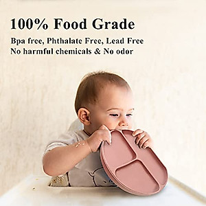 COTTONBEBE Baby Silicone Feeding Set, Toddler Plates and Bowls Sets, Self Feeding Spoon Fork Bib Cup, Divided Baby Led Weaning Supplies, First Stage Solid Food Infant Utensils, Fresh Pink