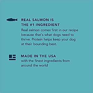 Amazon Brand – Wag Dry Dog Food, Salmon and Brown Rice, 30 lb Bag (Packaging May Vary)