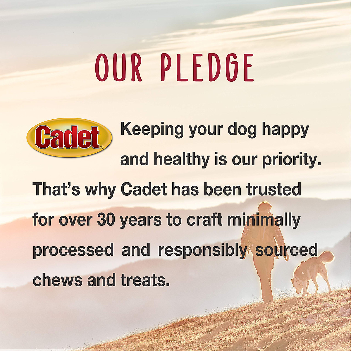 Cadet Gourmet Duck Breast Jerky Dog Treats, Healthy, Long-Lasting High-Protein Training Treats for Small & Large Dogs, 40 oz.