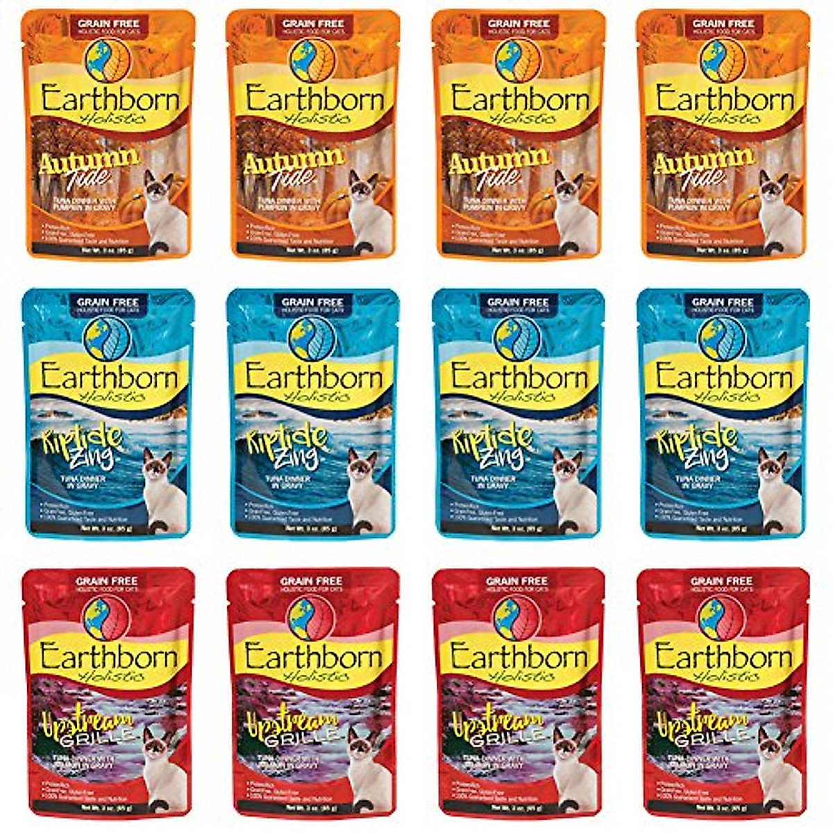 Earthborn Holistic Grain Free Wet Cat Food in Gravy Pouches - 3 Ounces Each - 3 Flavors - Riptide Zing, Autumn Tide, and Upstream Grill (12 Pouches Total)