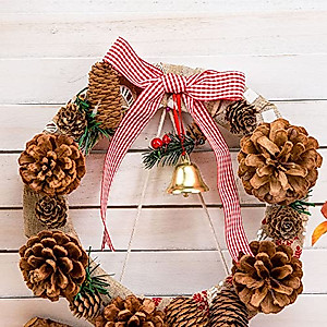 TOXOY 3 Rolls Red Gingham Ribbon and 18PCS Easter Kraft Gift Bags