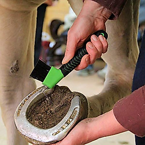 Horse Hoof Pick Brush with Soft Touch Rubber Handle (NEON GREEN)