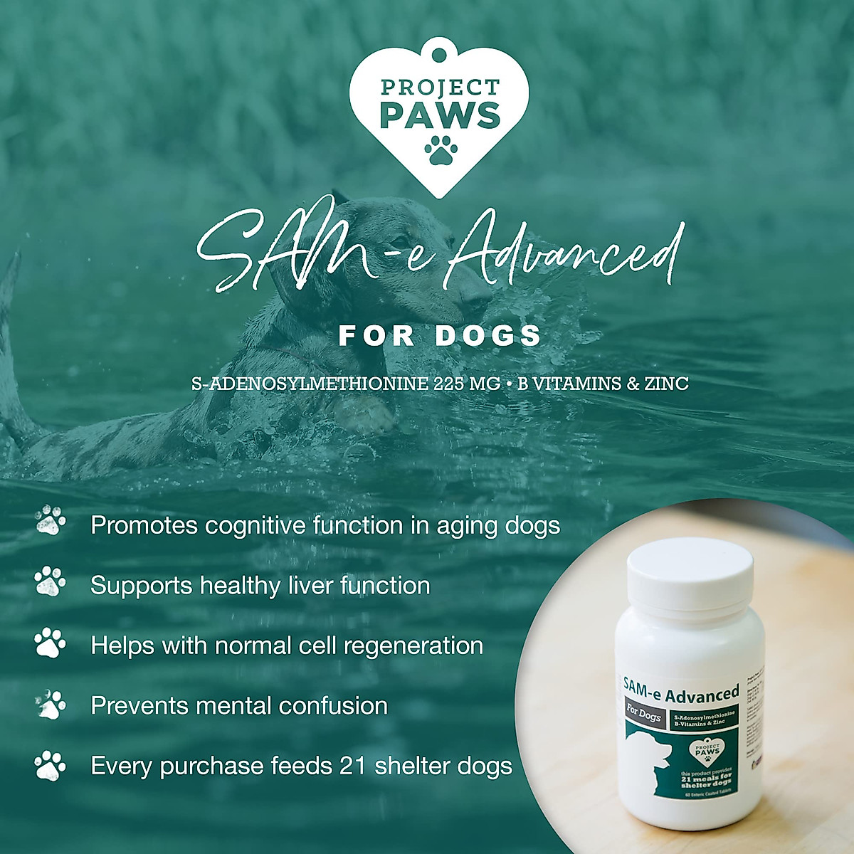 Project Paws Same for Dogs - Liver Support for Dogs with Vitamin B - Cognitive Dog Supplement - S Adenosyl Methionine for Dogs - 60 ct.