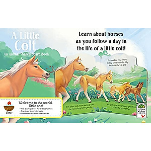 A Little Colt: A Baby Horse Board Book Story