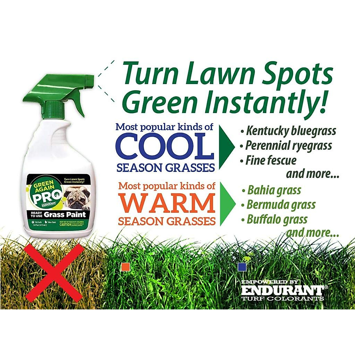 Pre-Mixed Grass and Turf Paint - All Natural Pet-Friendly Lawn Colorant Turns Spots Green Again with Eco-Friendly Point-and-Spray Application (16 oz) (Warm Season Grasses)
