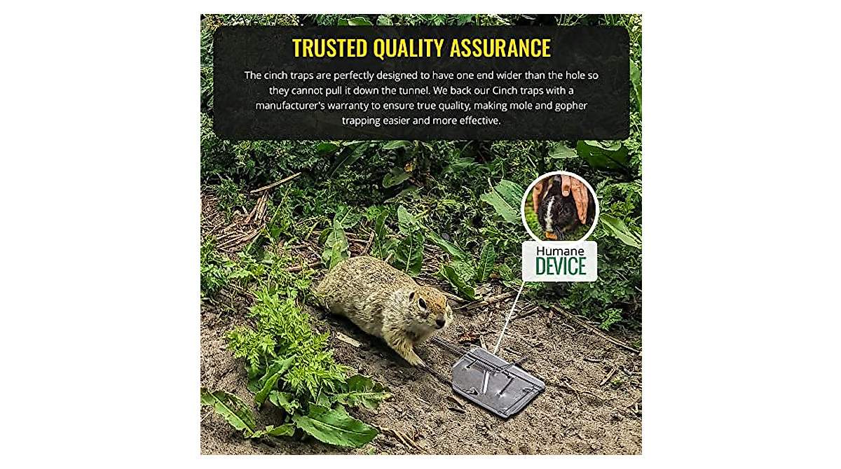 Cinch Gopher Trap Kit - Small (1 Pack ) Heavy Duty, Reusable Rodent ...