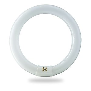 Bulbmaster FC12T9/CW 32 Watts 12 Inch Round T9 Fluorescent Circular Light Bulb, Cool White 4100K, FC12T9 1930 Lumens G10Q 4-Pin Base 32W Circline Ceiling Lights