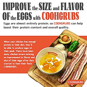 COOHGRUBS Premium Grade Dried Black Soldier Fly Larvae for Chickens and Other Poultry 2 lb. Box