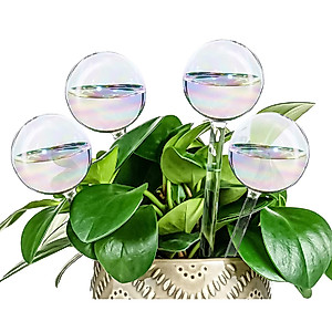 Koorabbee 4 Pcs Iridescent Glass Plant Watering Globes - 9 Inch Self Watering Planter Insert | Plant Watering Devices | Plant Watering Bulbs for Indoor and Outdoor Plants Accessories.