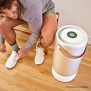 Molekule Air Pro | Air Purifier for Large Rooms up to 1000 sq. ft. w/PECO-HEPA Tri-Power Technology, for Allergens, Smoke, Mold, Bacteria, Viruses & Pollutants for Clean Air - Silver, Alexa-Compatible
