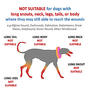 Dog Neck Donut Collar - Inflatable Dog Donut Collar for After Surgery - Elizabethan Collar for Dogs, Dog Inflatable Recovery Collar, Dog Doughnut Collar (Extra Small Size, XS)