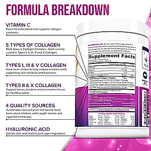 Multi Collagen Peptides Plus Hyaluronic Acid and Vitamin C Hydrolyzed Collagen Proteins Types I II III V and X Peach Mango Flavor