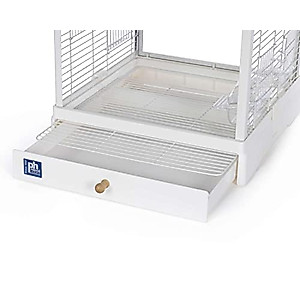 Prevue Pet Products Clear View Glass Bird Cage Crystal Palace for Small Birds - White Frame