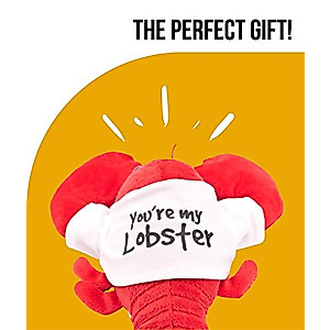 You’re My Lobster Plush Decoration – Cool TV Props Friends Lobster Plush Decoration – Ross Geller Rachel Green Lobster Decoration in Cute White T-Shirt – 8” (20cm) Head to Tail, 6” (15cm) Claw to Claw