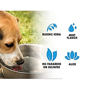 Petkin Plaque Spray, Cool Mint, 4 Fl Oz – Cleans Teeth & Gums, Removes Plaque & Tartar, Freshens Breath & Whitens Teeth with Baking Soda - Ideal Cat & Dog Dental Spray with No Brushing or Rinsing