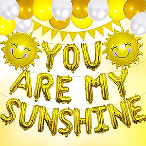 Sunshine Party Decorations Yellow Birthday Decorations Sun Party Decorations Sunshine Birthday Decorations You Are My Sunshine Party Decorations Banner Sunshine Baby Shower Decorations Sun Balloon