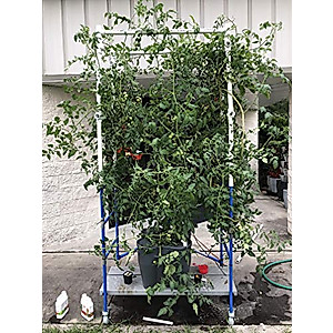 DWC Hydropoinc System Kit (4)